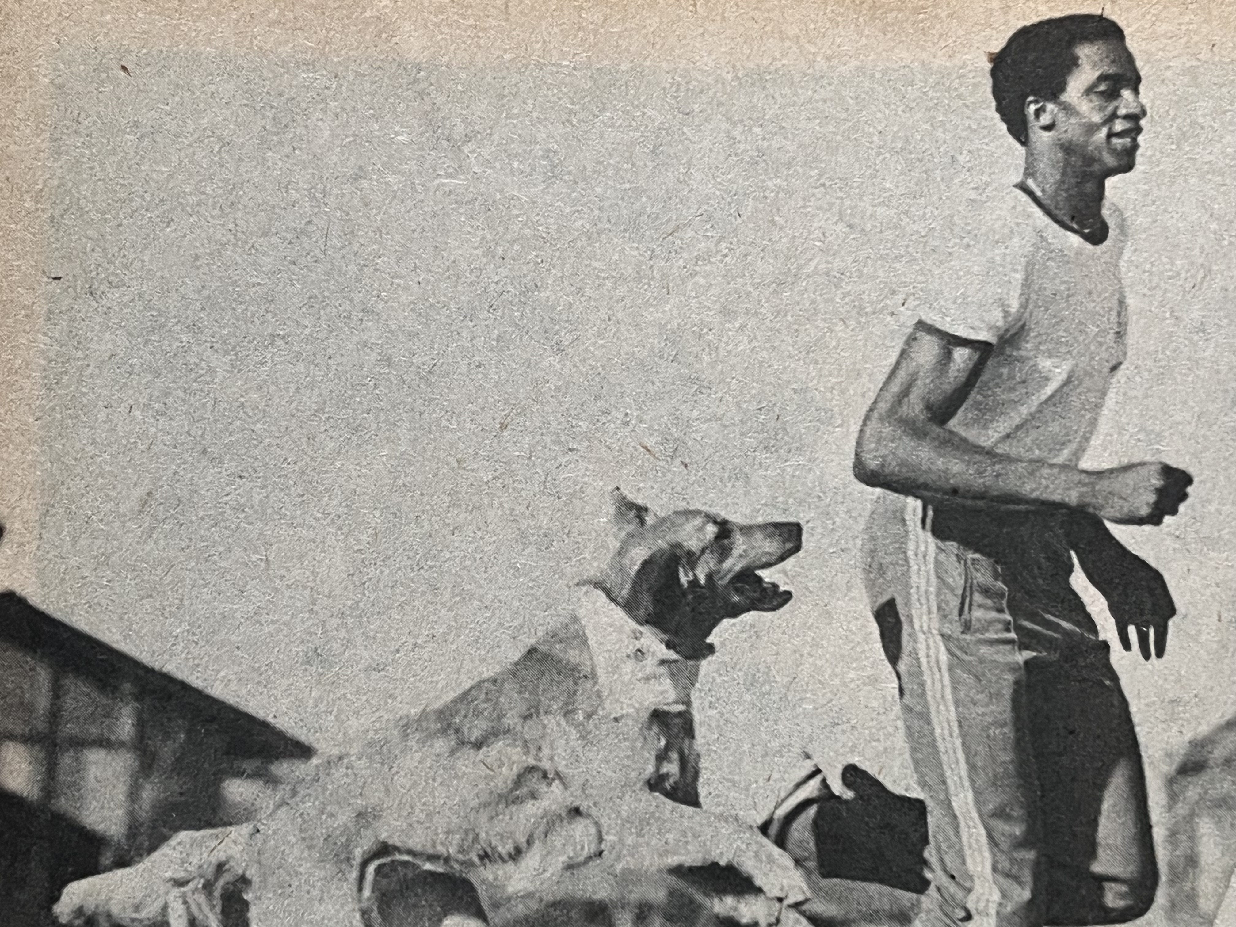 Why It’s All Turned Sour for David Thompson, 1980 – From Way Downtown